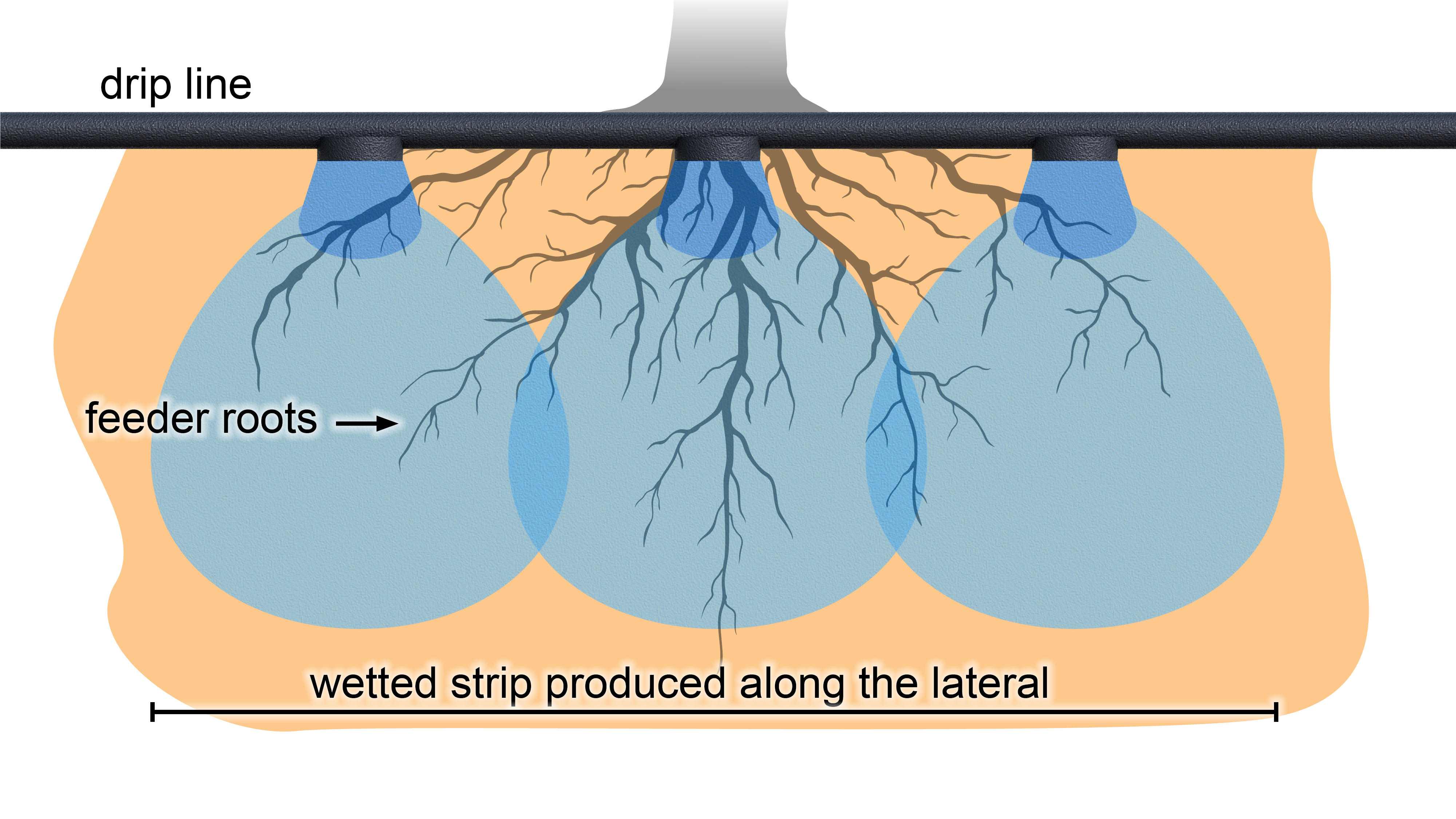 Planning a drip irrigation system | Drip irrigation | Irrigation ...