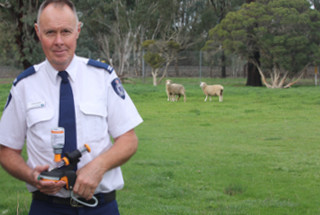 New lamb marking products and advice at hand | Media releases | Media ...