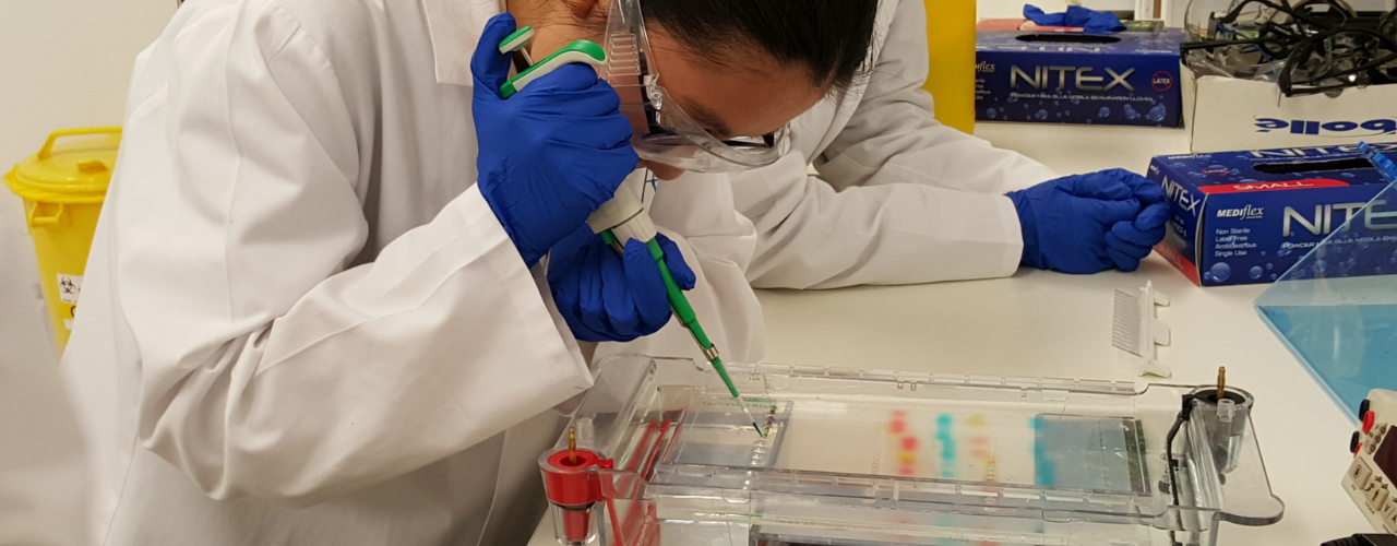 Get into Genes – PCR (Year 12) | Get into AgSTEM | Education | Support ...