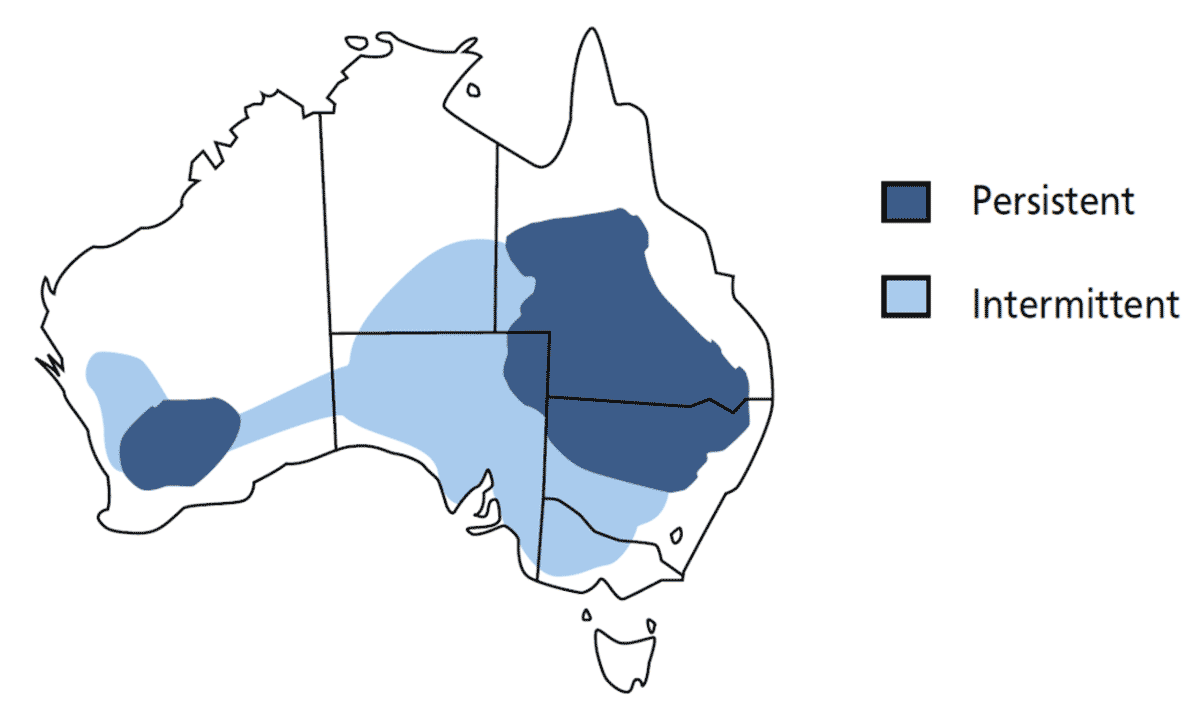 Australian plague locust update | Australian Plague locusts | Priority ...