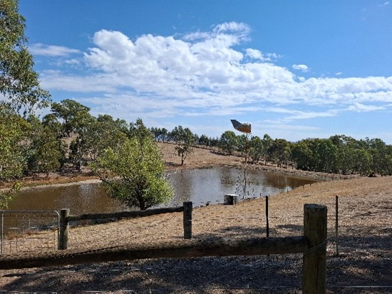 Water first approach works | Autumn 2025 | Sheep Notes newsletter ...