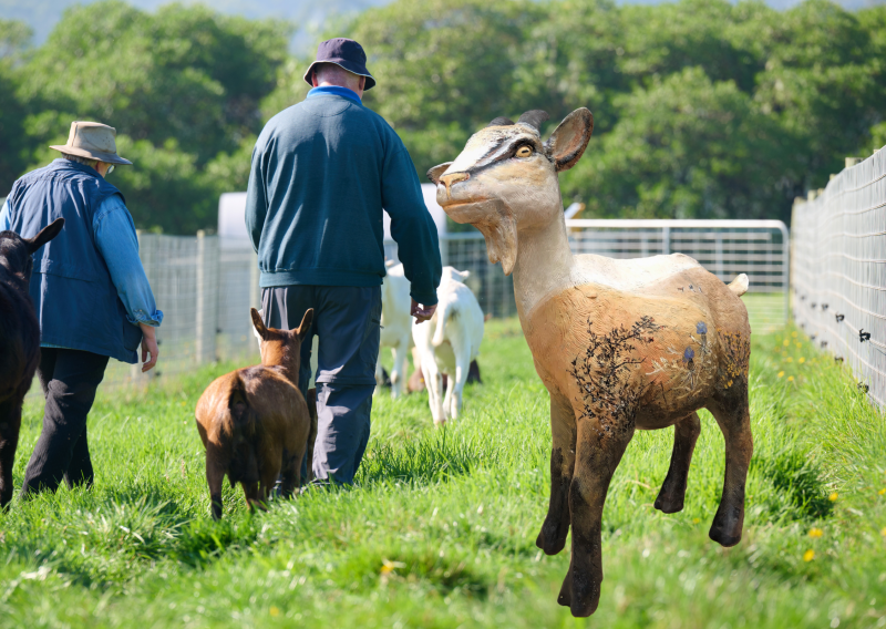 Backyard Biosecurity Sculpture Art Project | Backyard Biosecurity ...